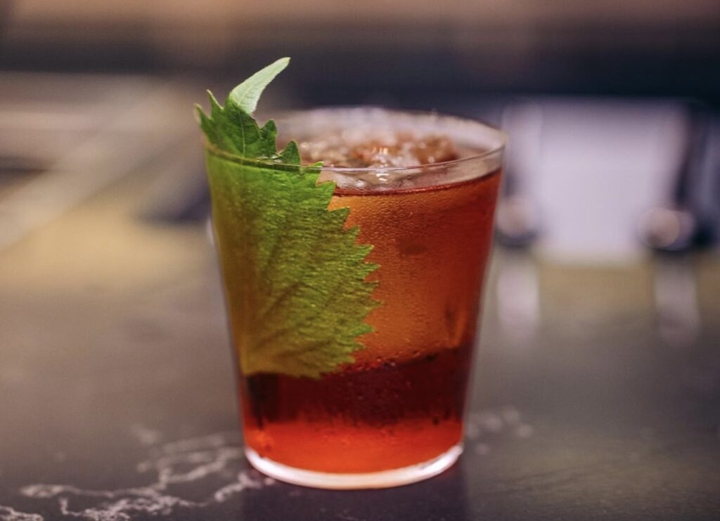 New Sustainable Cocktails at Tell Camellia - Foodie