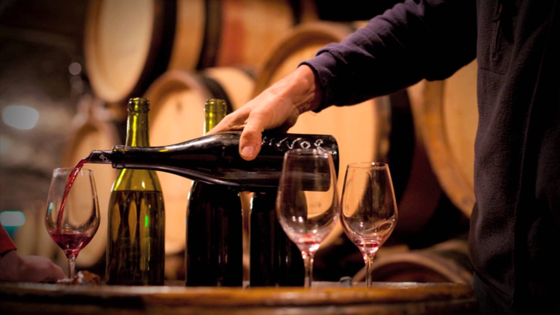 Rewriting Wine 101: Everything You Need to Know About French Wine - Foodie
