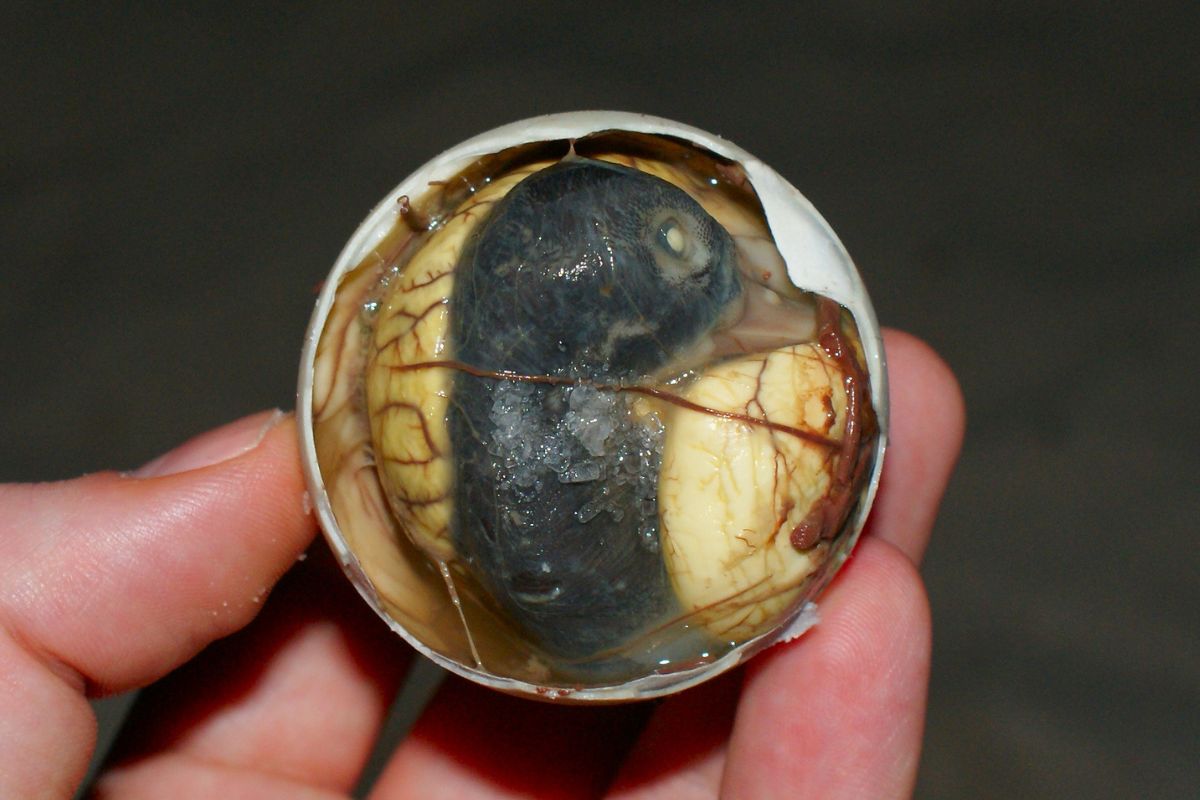 Eat balut in Hong Kong at Victory Mini Mart in Central