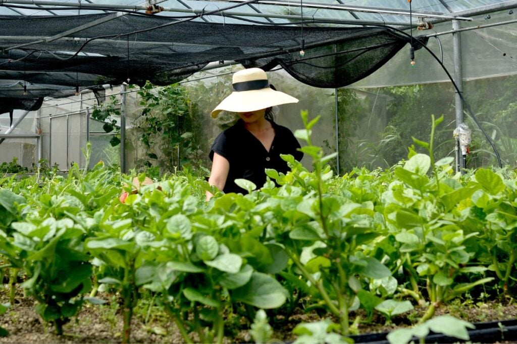 Chunling Fong of Farmhouse Productions is making HK green